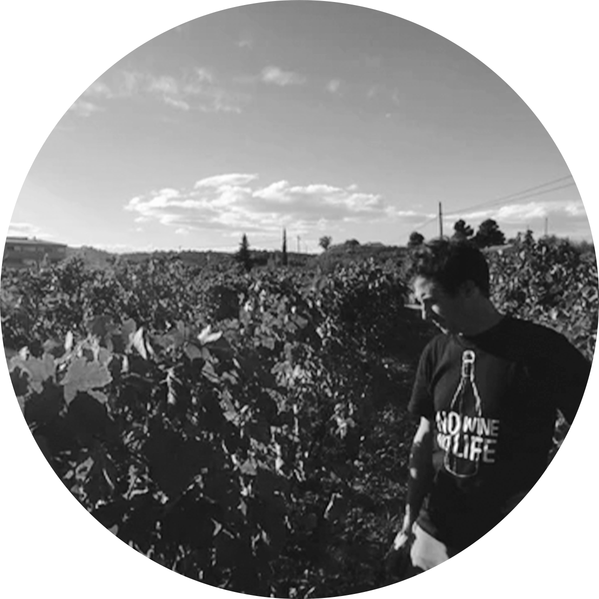 Alex Craighead Wines – La Cabane Hong Kong